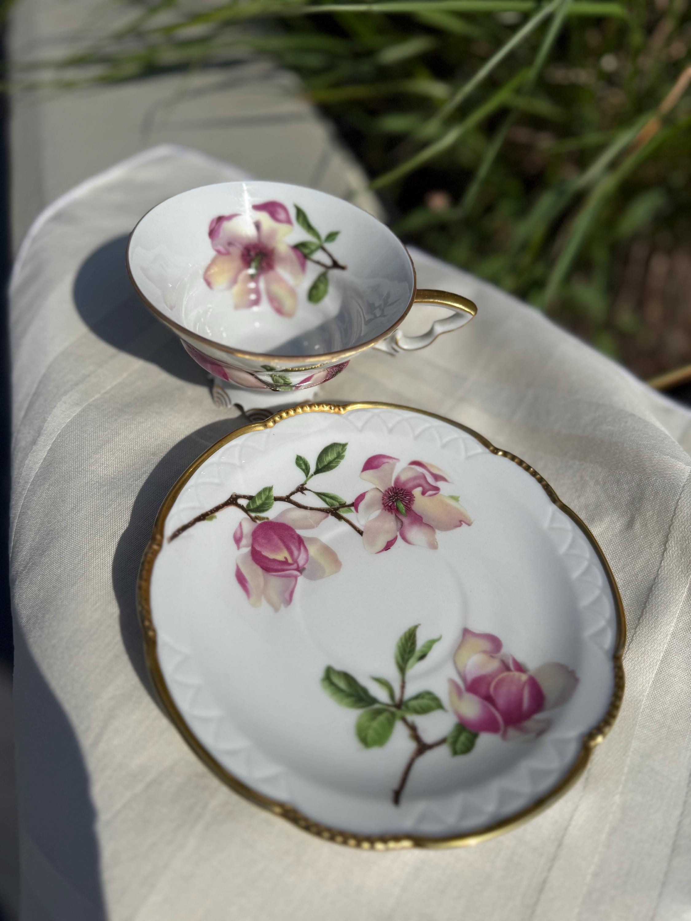 Vintage Mitterteich Bavaria Teacup and Saucer. Magnolia Pattern. Made ...
