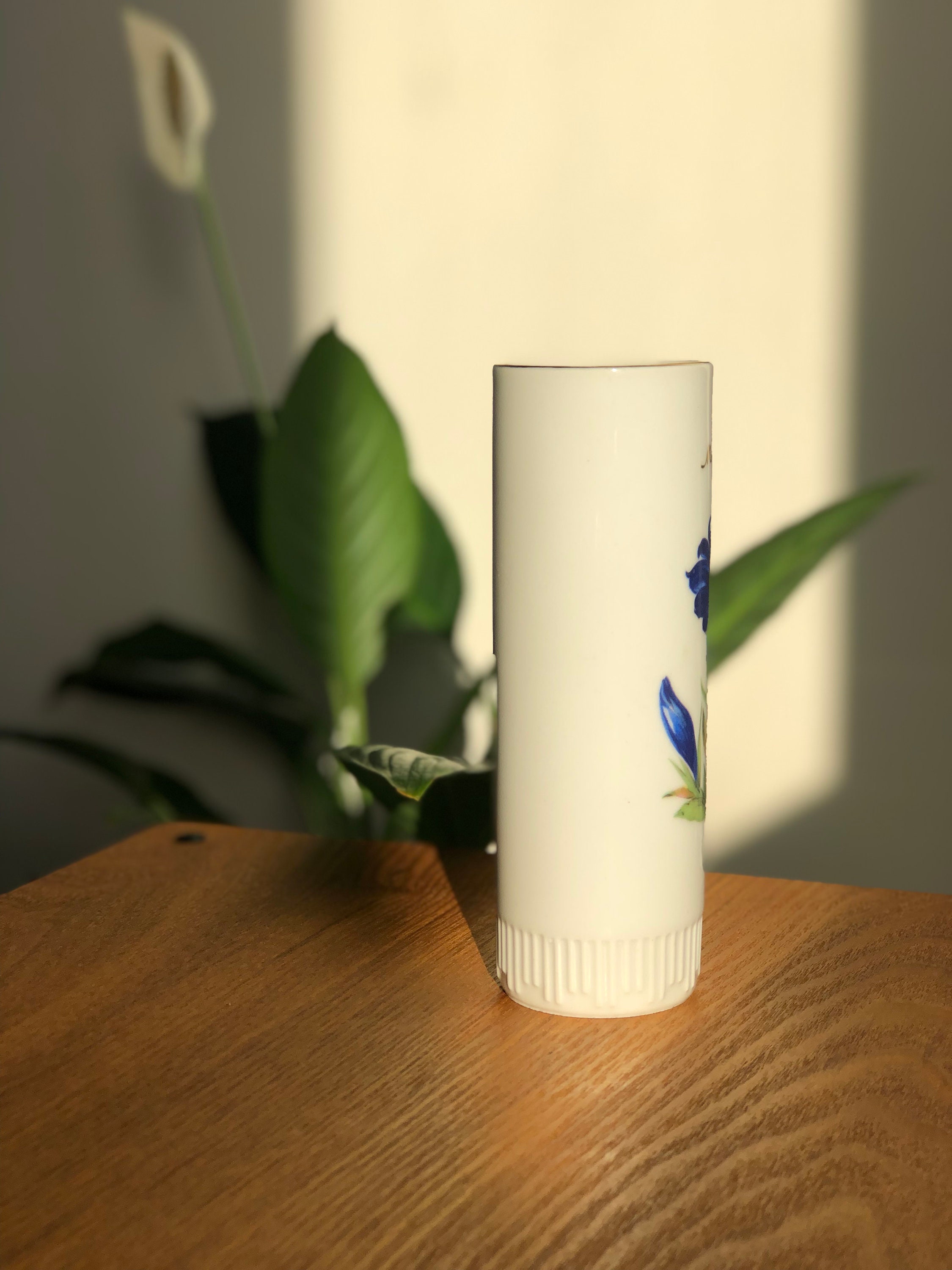 Vintage Plankenhammer Floss Bavaria Porcelain Hand Painted Vase. Made ...