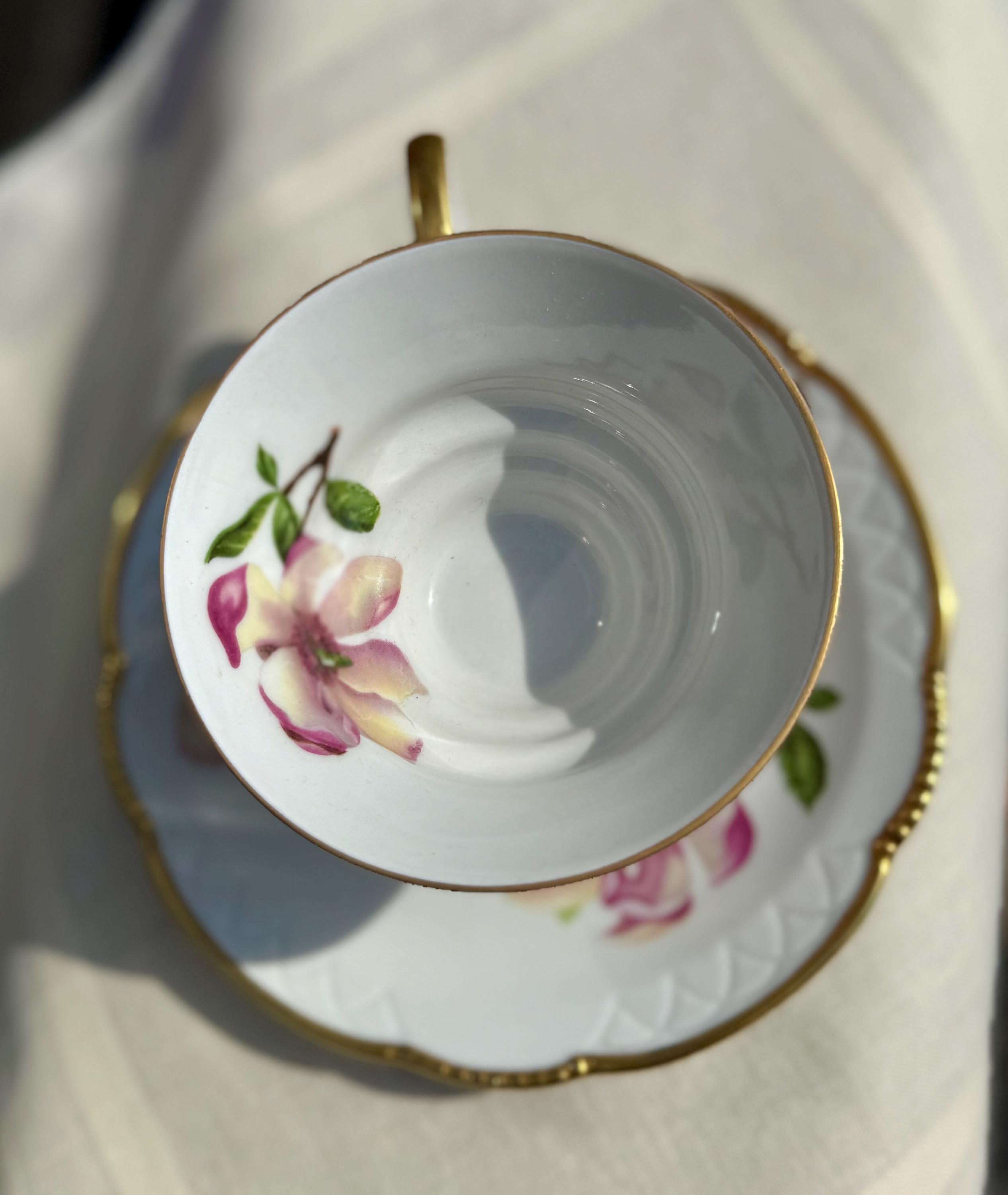 Vintage Mitterteich Bavaria Teacup and Saucer. Magnolia Pattern. Made ...