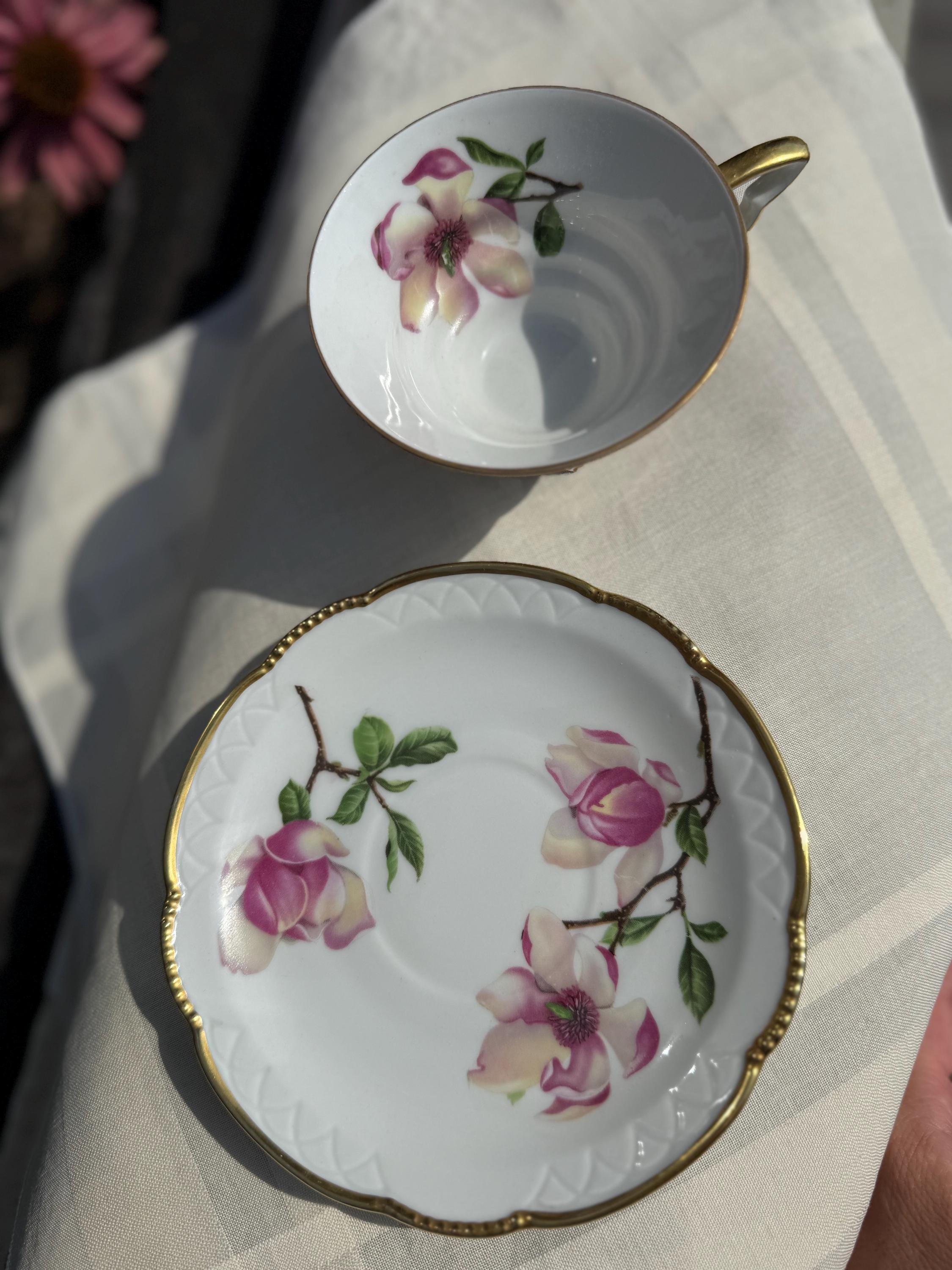Vintage Mitterteich Bavaria Teacup and Saucer. Magnolia Pattern. Made ...