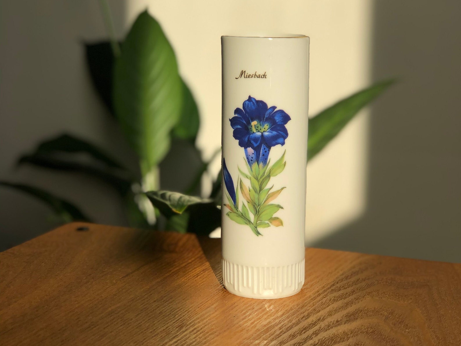 Vintage Plankenhammer Floss Bavaria Porcelain Hand Painted Vase. Made ...