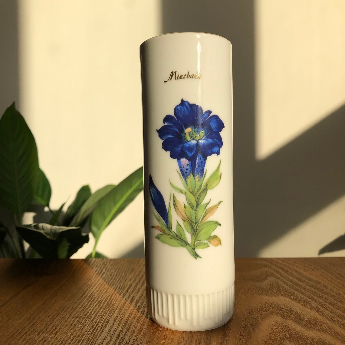 Vintage Plankenhammer Floss Bavaria Porcelain Hand Painted Vase. Made ...