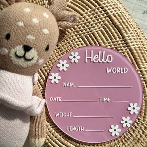 Hello World Baby Stat Sign Acrylic Baby Birth Announcement Daisy Hello ...