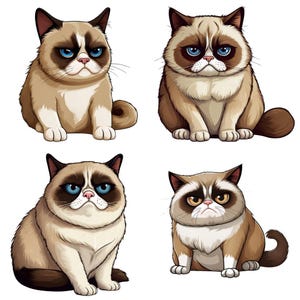 Grumpy Cat PNG Bundle - 12 High-resolution 300 DPI Transparent ...