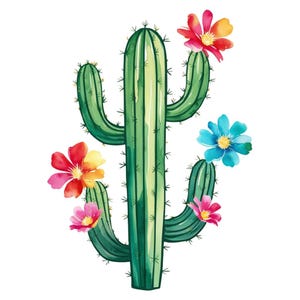 Watercolor Cactus Clipart Set - 8 Floral Pngs With Transparent ...