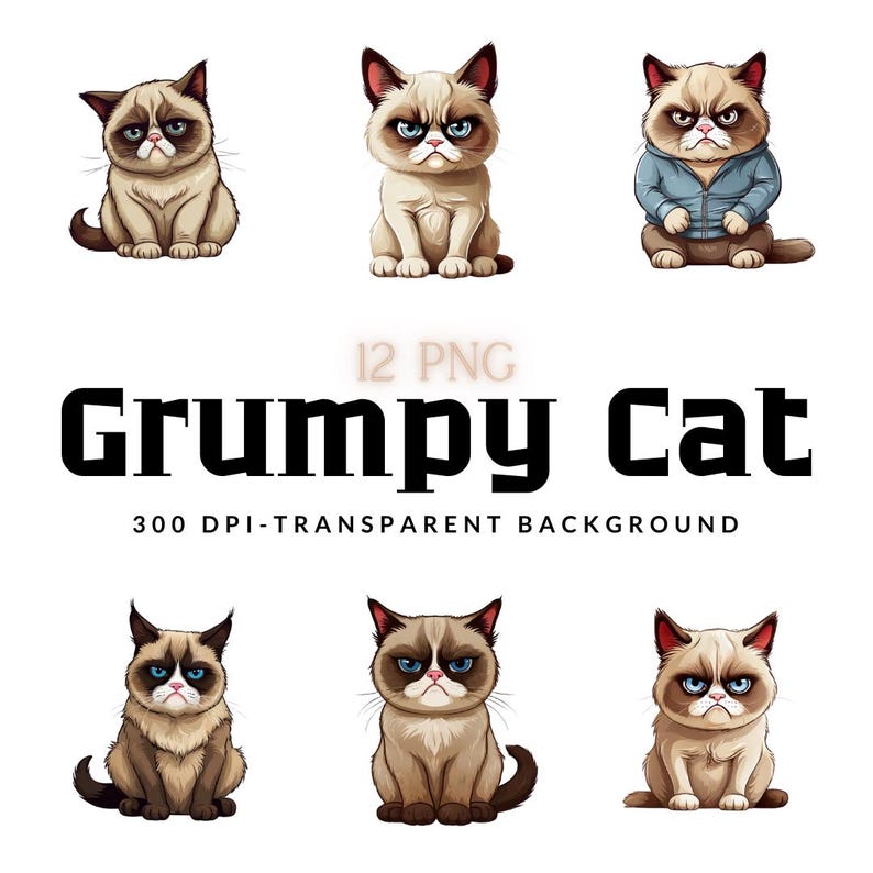 Grumpy Cat PNG Bundle - 12 High-resolution 300 DPI Transparent ...