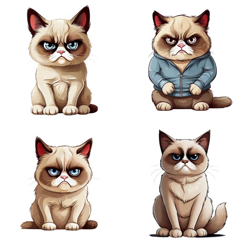Grumpy Cat PNG Bundle - 12 High-resolution 300 DPI Transparent ...