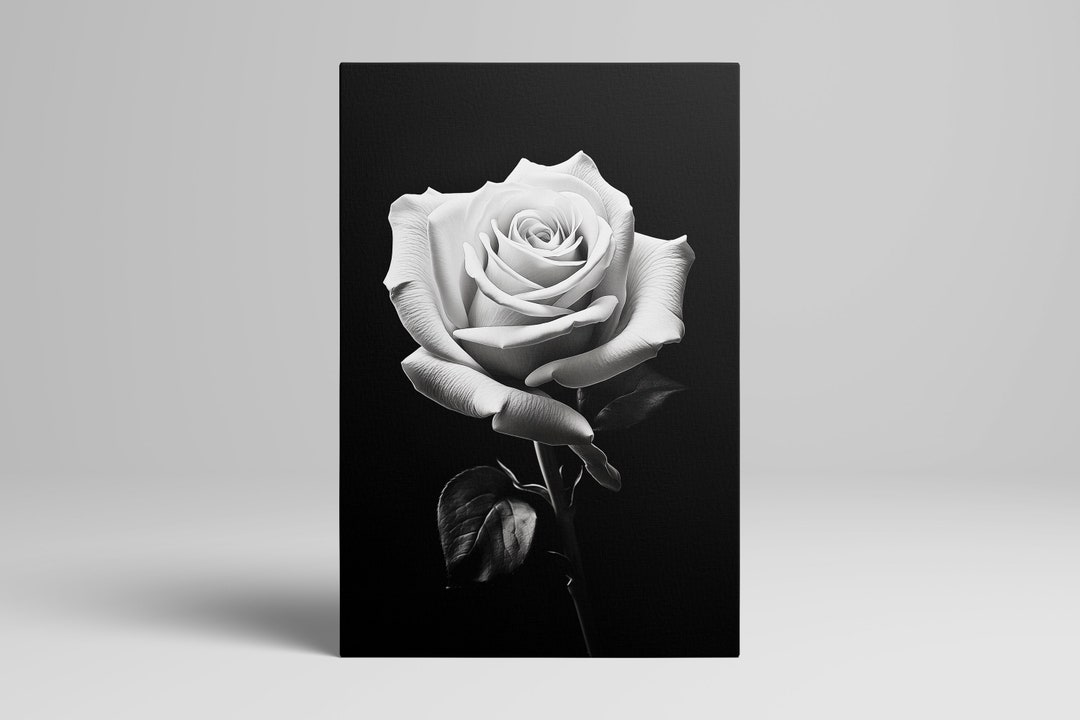 Rose Wall Art White Rose Art White Rose Canvas Canvas Print - Etsy