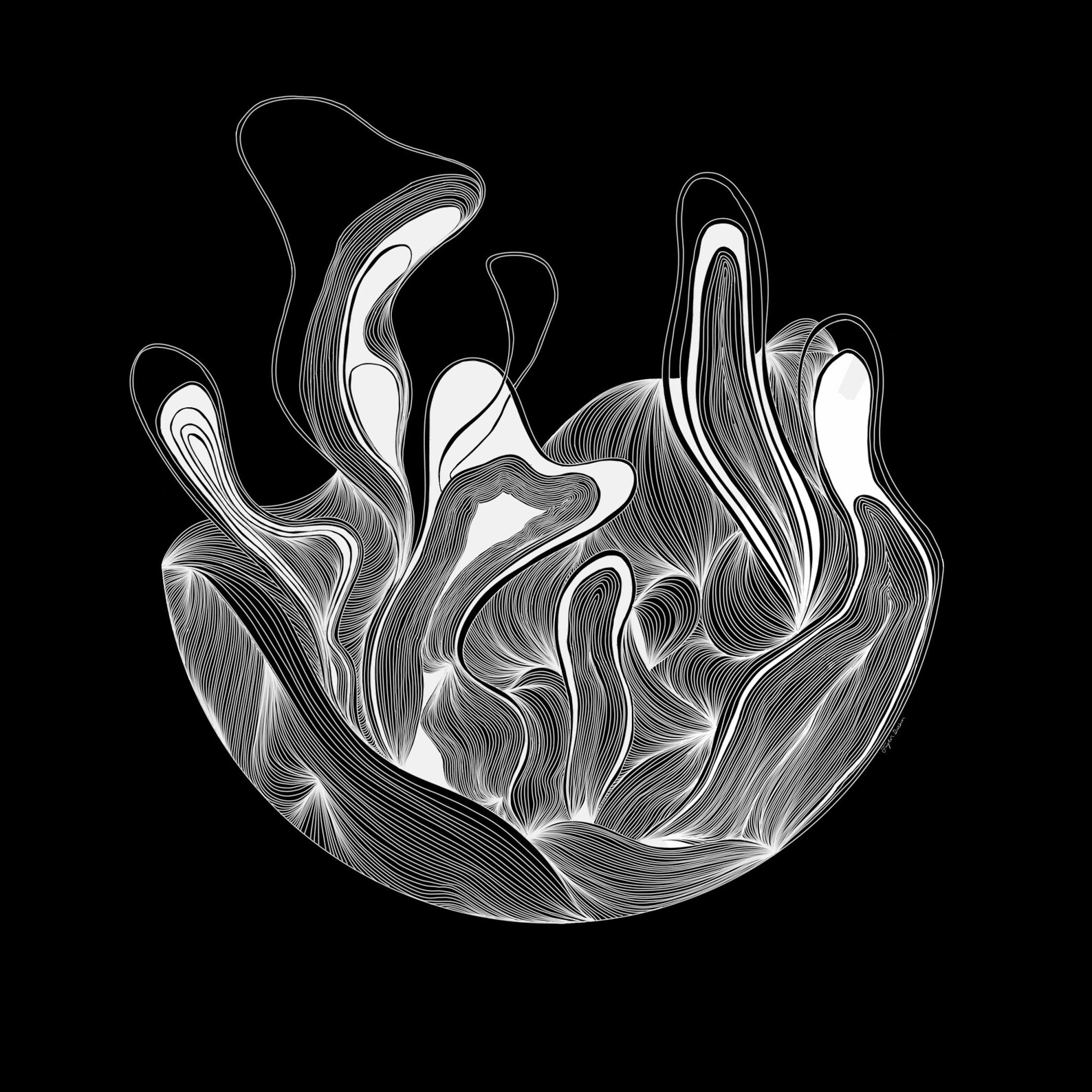 Awakening Form - Black Background Digital Print - Etsy