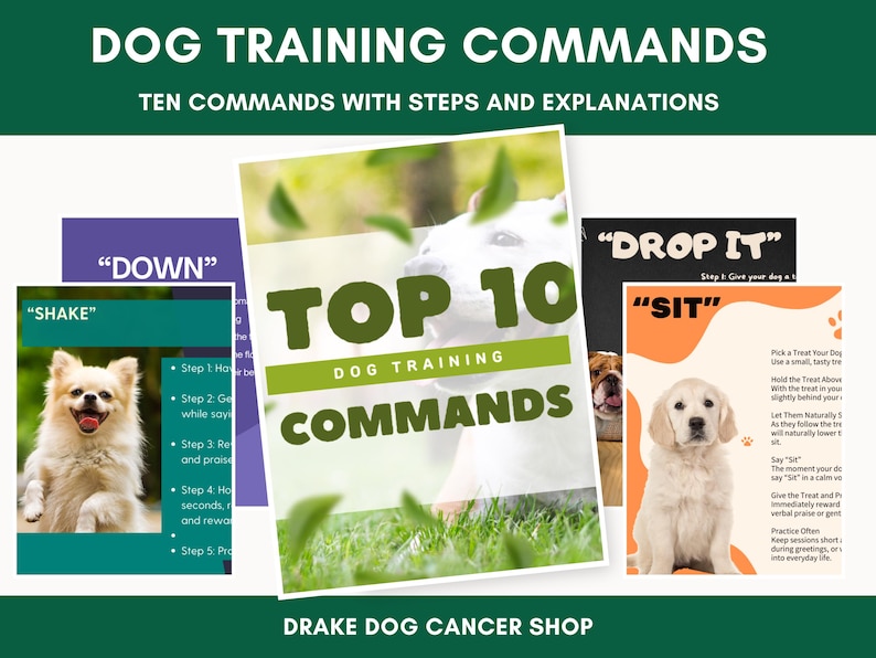 Comprehensive Step-by-step Dog Training Guide: 10 Essential Commands ...