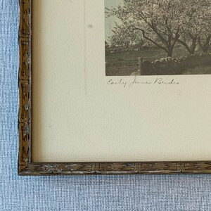 Vintage Framed Wallace Nutting Colored Photograph Early June Brides - Etsy