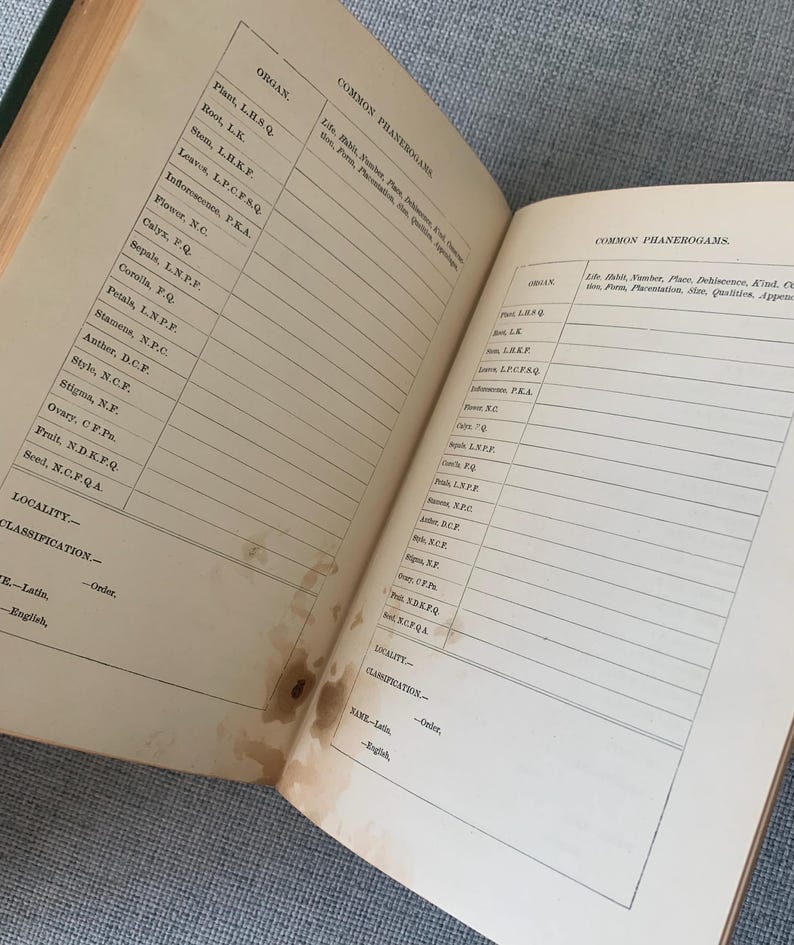How to Study Plants Alphonso Wood 1895 Antique Book - Etsy