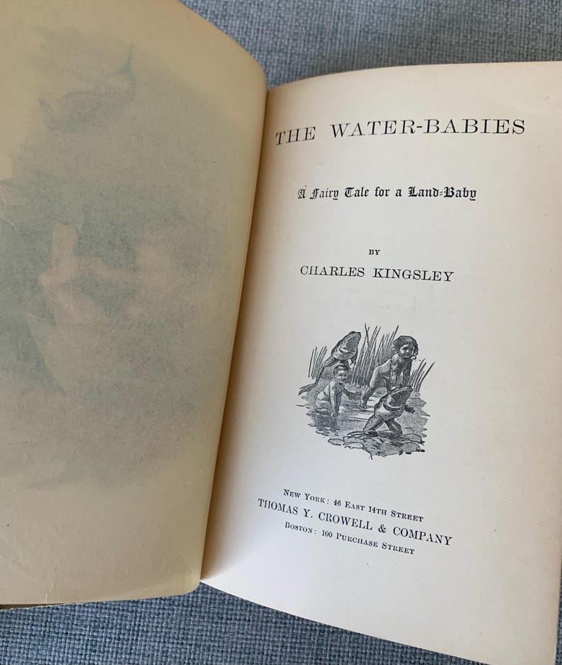 The Water Babies A Fairy Tale for A Land Baby Charles Kingsley 1895 ...