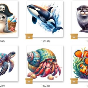 ANIMAL & SEA LIFE Ready to Press Sublimation Transfer Prints ...