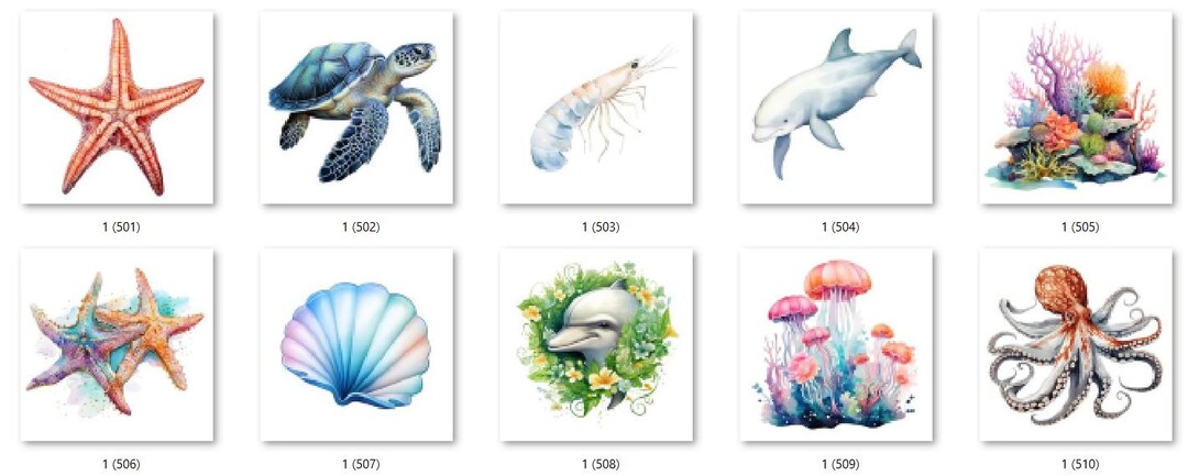 Sea Life Sublimation Heat Transfer Prints - Bundle of 10 - Etsy