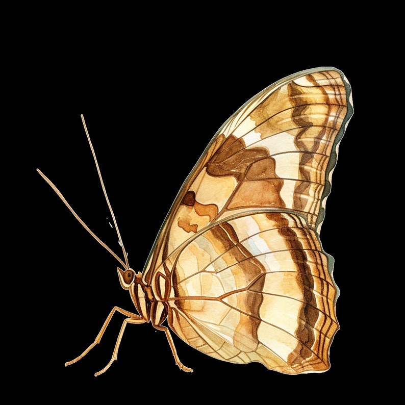 10 BUTTERFLY DESIGNS Ready to Press Sublimation Transfer Prints ...