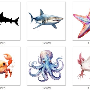 Sea Life Sublimation Heat Transfer Prints: 10-print Bundle - Etsy