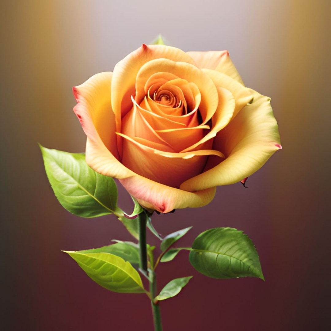 Bundle of 10 ROSE Sublimation Heat Transfer Prints 401-400 - Etsy