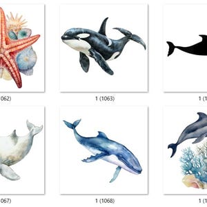 Sea Life Sublimation Heat Transfer Prints: 10-print Bundle - Etsy