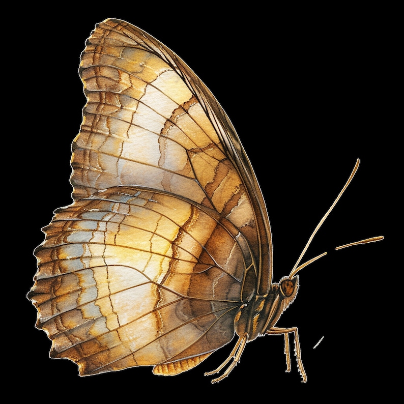 10 BUTTERFLY DESIGNS Ready to Press Sublimation Transfer Prints ...