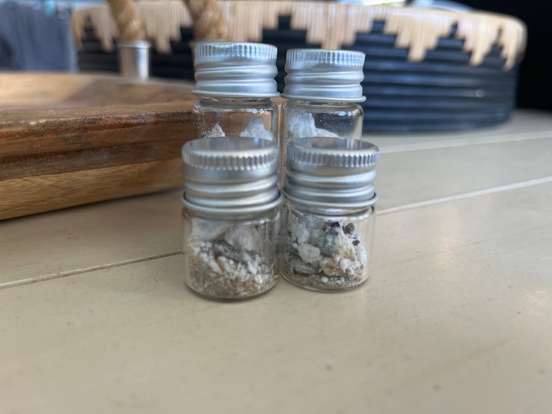 Set of 4 - Spacex Starship SN24 Heat Shield Tile Section - Etsy