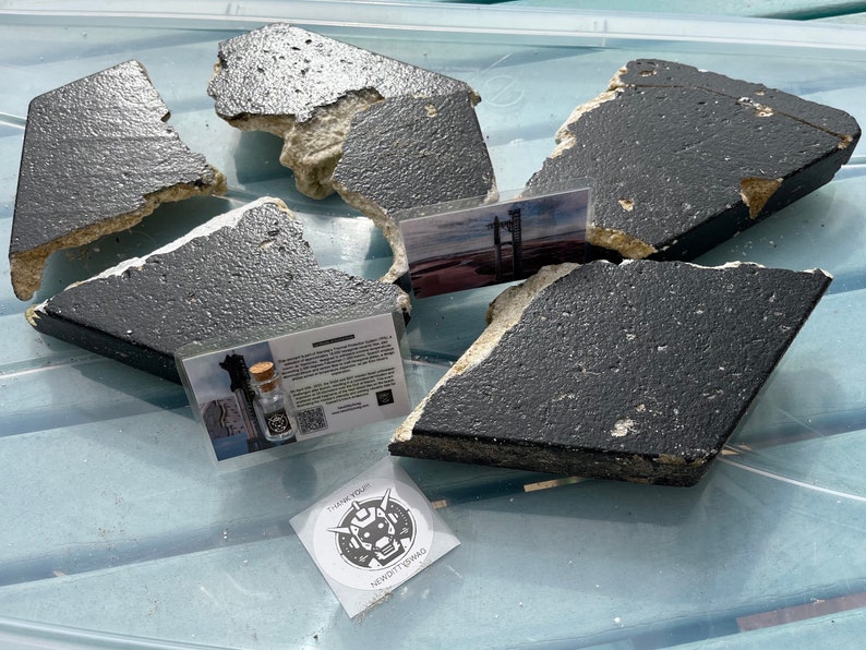 Limited Edition Display Card and Spacex Starship SN24 BN7 Heat Shield ...