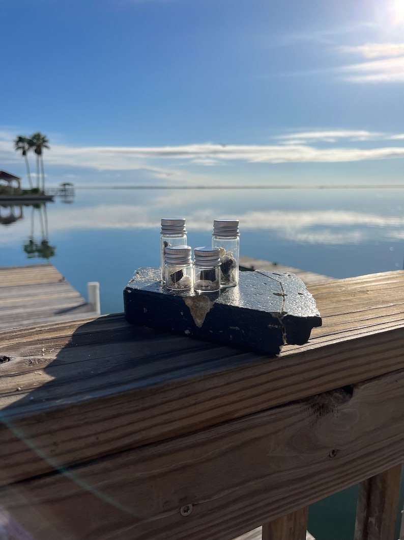 Set of 4 Spacex Starship SN24 Heat Shield Tile Section - Etsy