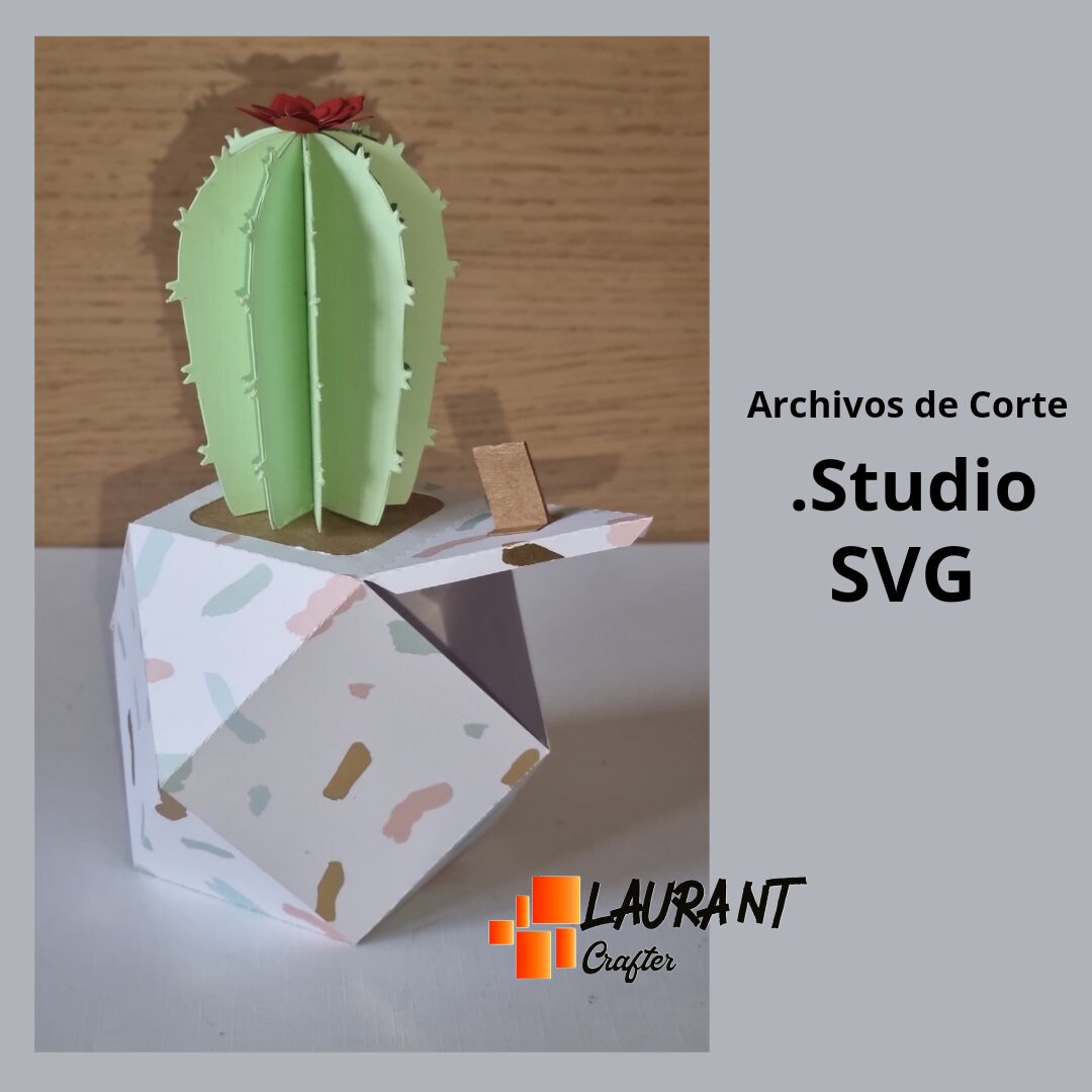 Cactus Box, Cut File in SVG .studio Formats, 2 Cactus Options Included ...