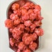 Watermelon Popcorn - Etsy