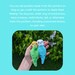 Baby Parakeet Sewing Pattern - PDF Digital Download - Plush Sewing DIY ...