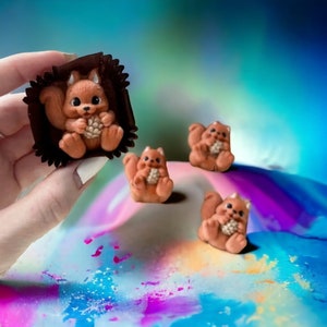 Treat Box - Belgian Chocolate Squirrel - Unique Gift - Personalised ...