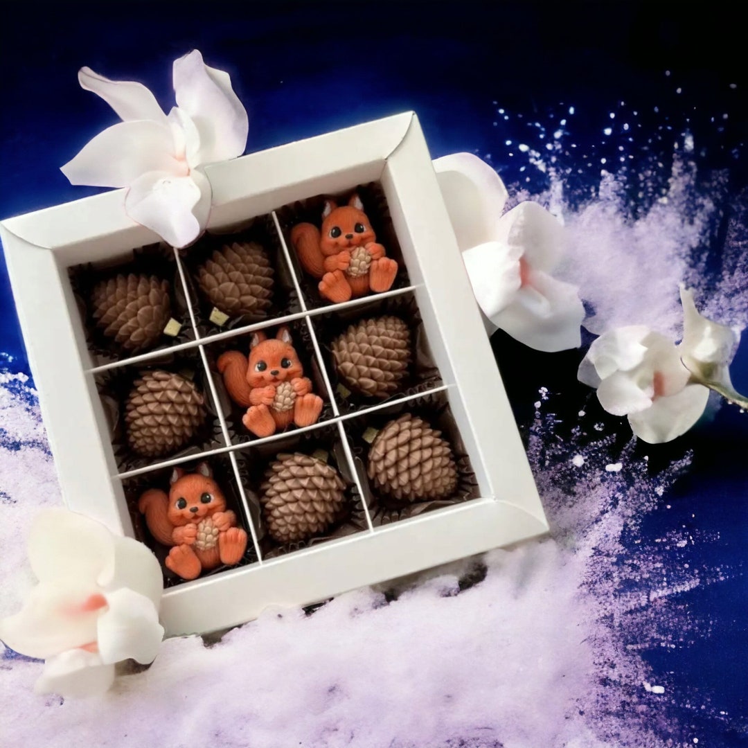 Treat Box Belgian Chocolate Squirrel Unique Gift Personalised Christmas ...