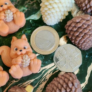 Treat Box Belgian Chocolate Squirrel Unique Gift Personalised Christmas ...