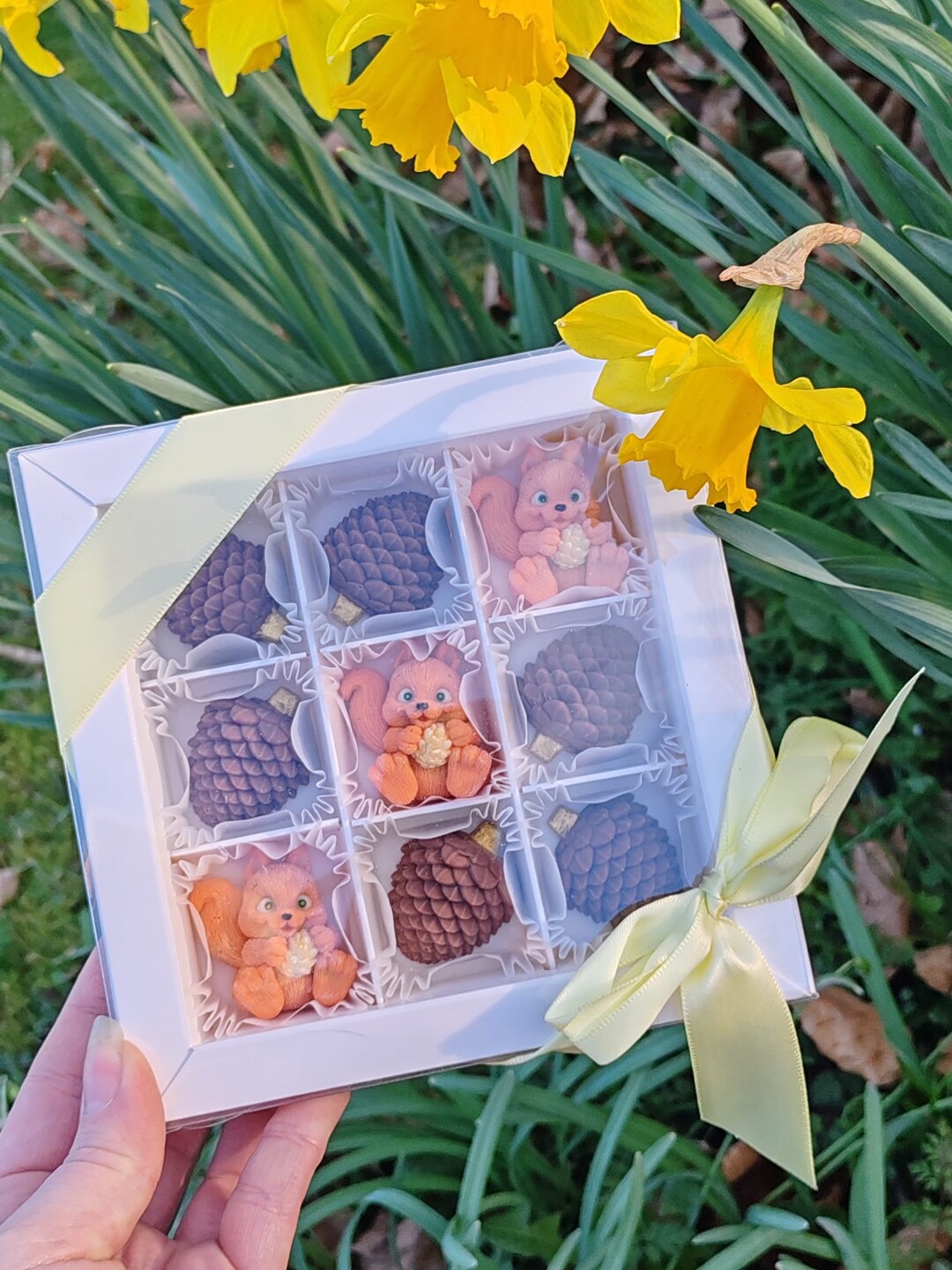 Treat Box Belgian Chocolate Squirrel Unique Gift Personalised Christmas ...