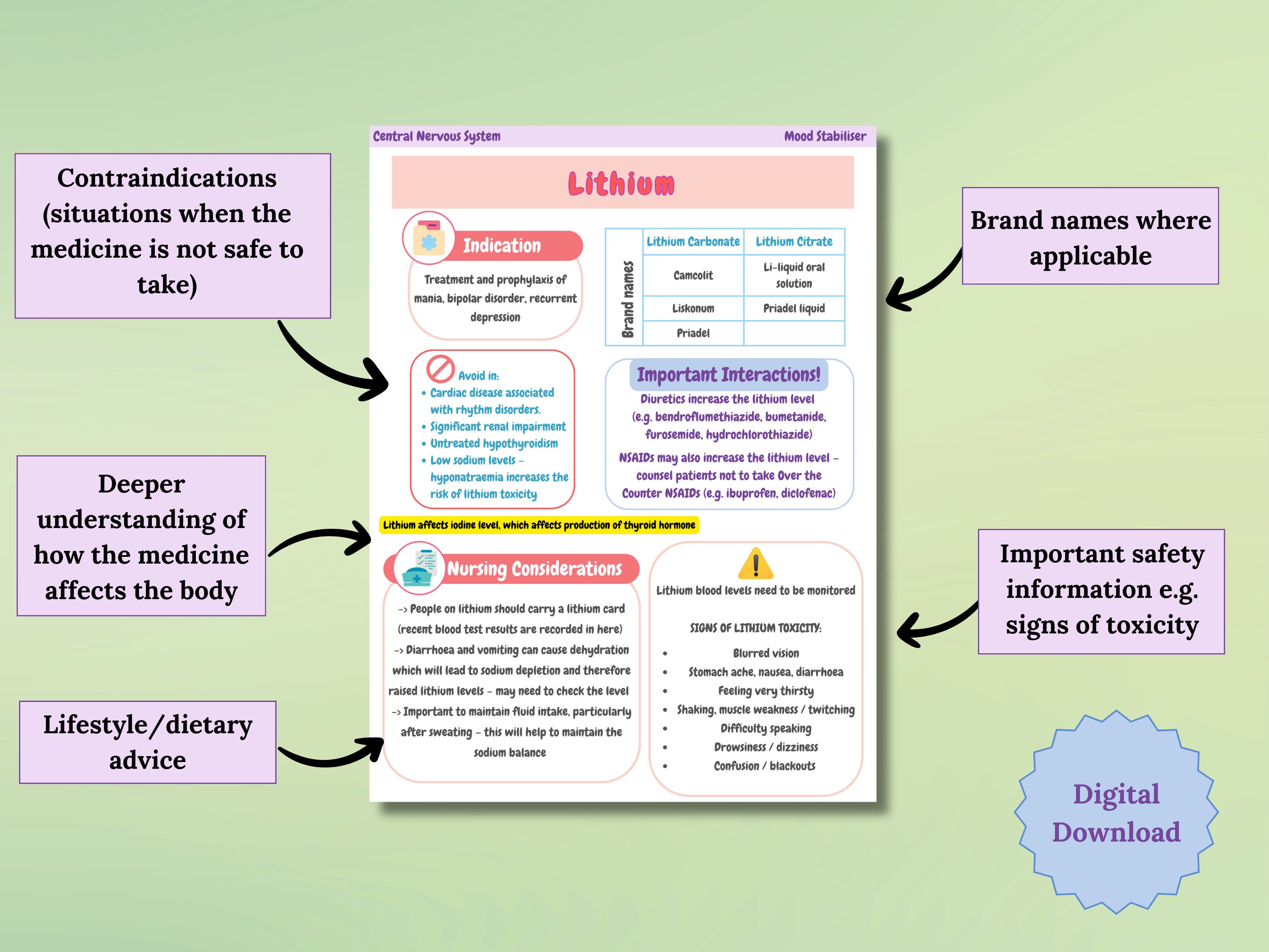 Pharmacology Study Guide | Nursing Notes | Pharmacy Notes Bundle ...