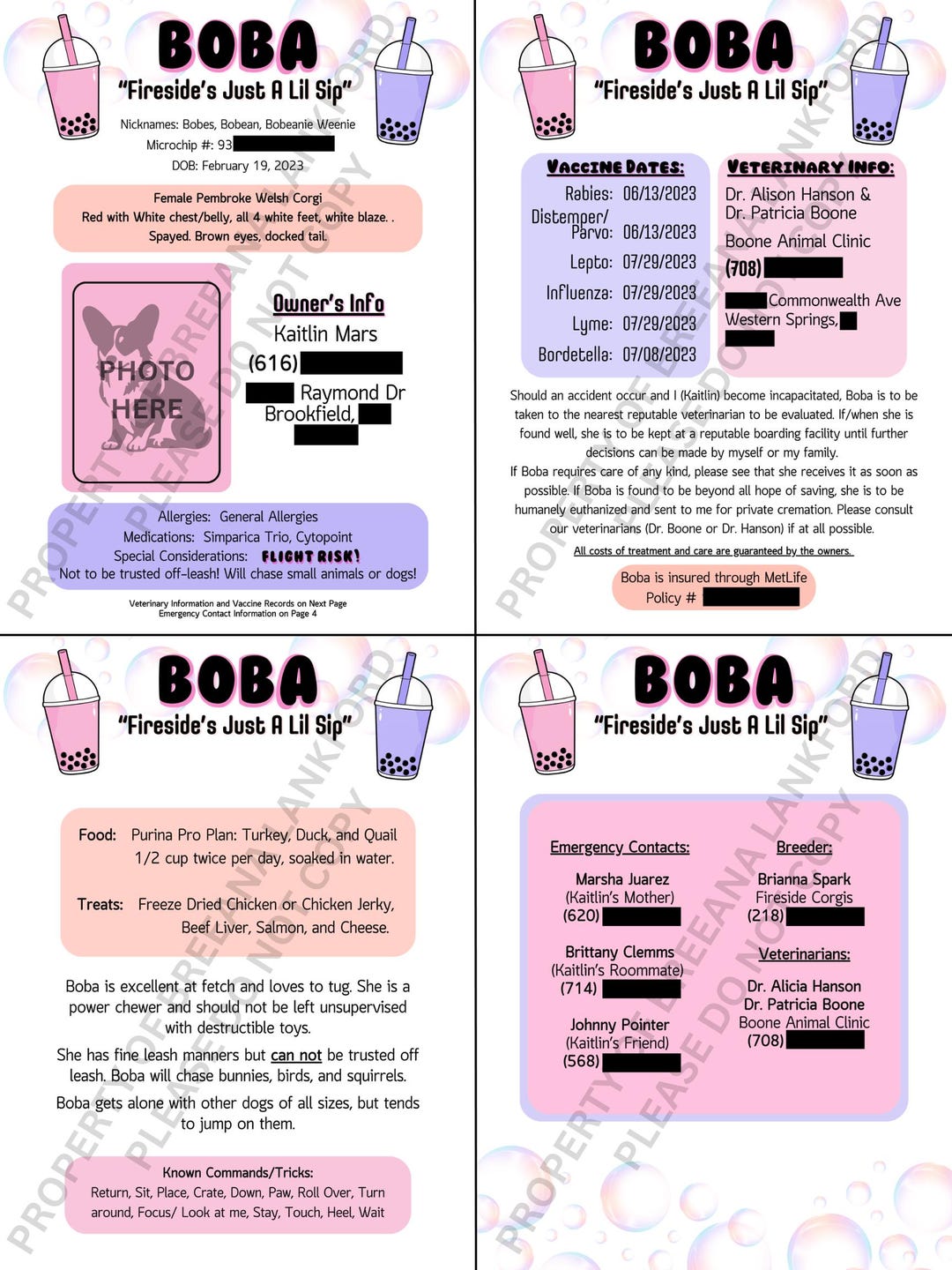 CUSTOMIZABLE Emergency Information Travel Sheets for Pets - Etsy