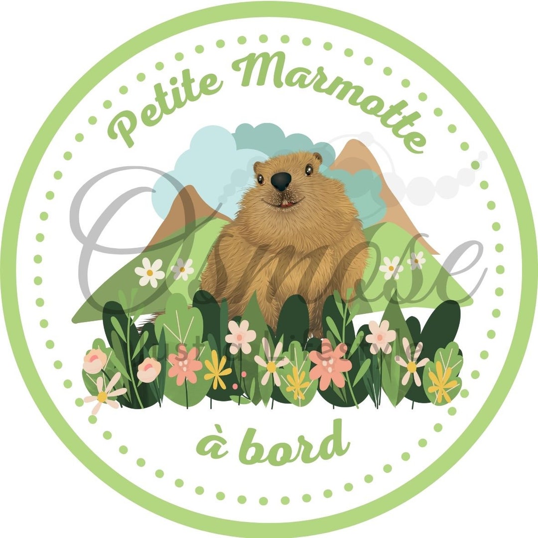 Baby on Board Sticker - Little Marmot - Etsy
