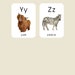 Wild Animal Alphabet Flash Cards, Montessori Materials, A-Z Cards ...