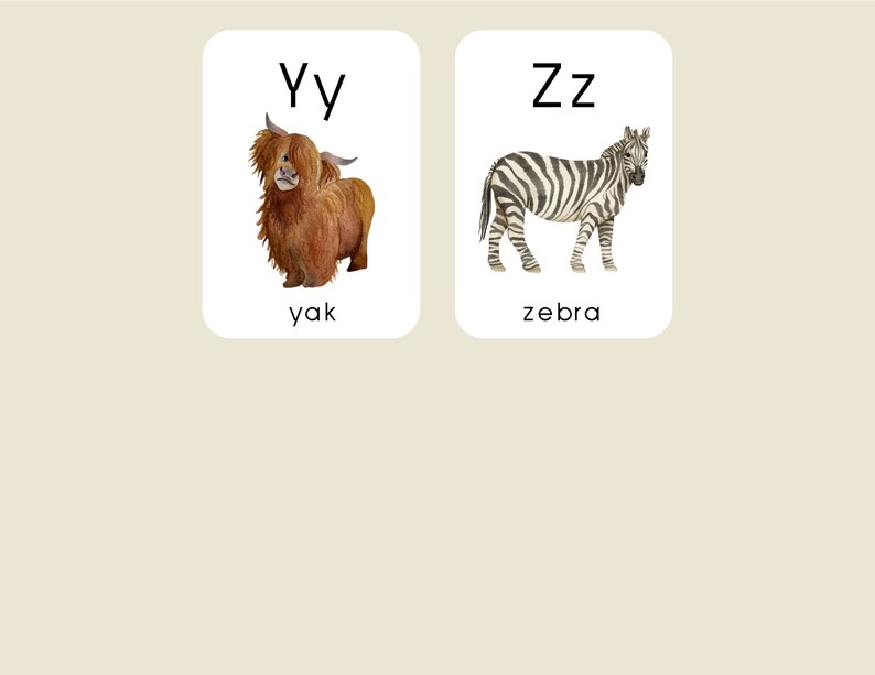 Wild Animal Alphabet Flash Cards, Montessori Materials, A-Z Cards ...