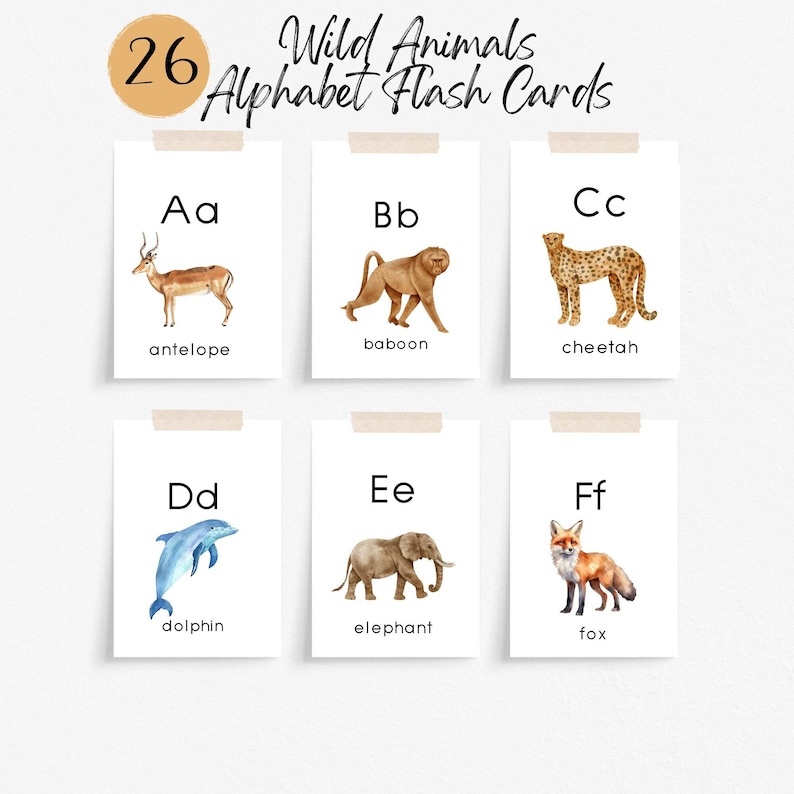Wild Animal Alphabet Flash Cards, Montessori Materials, A-Z Cards ...