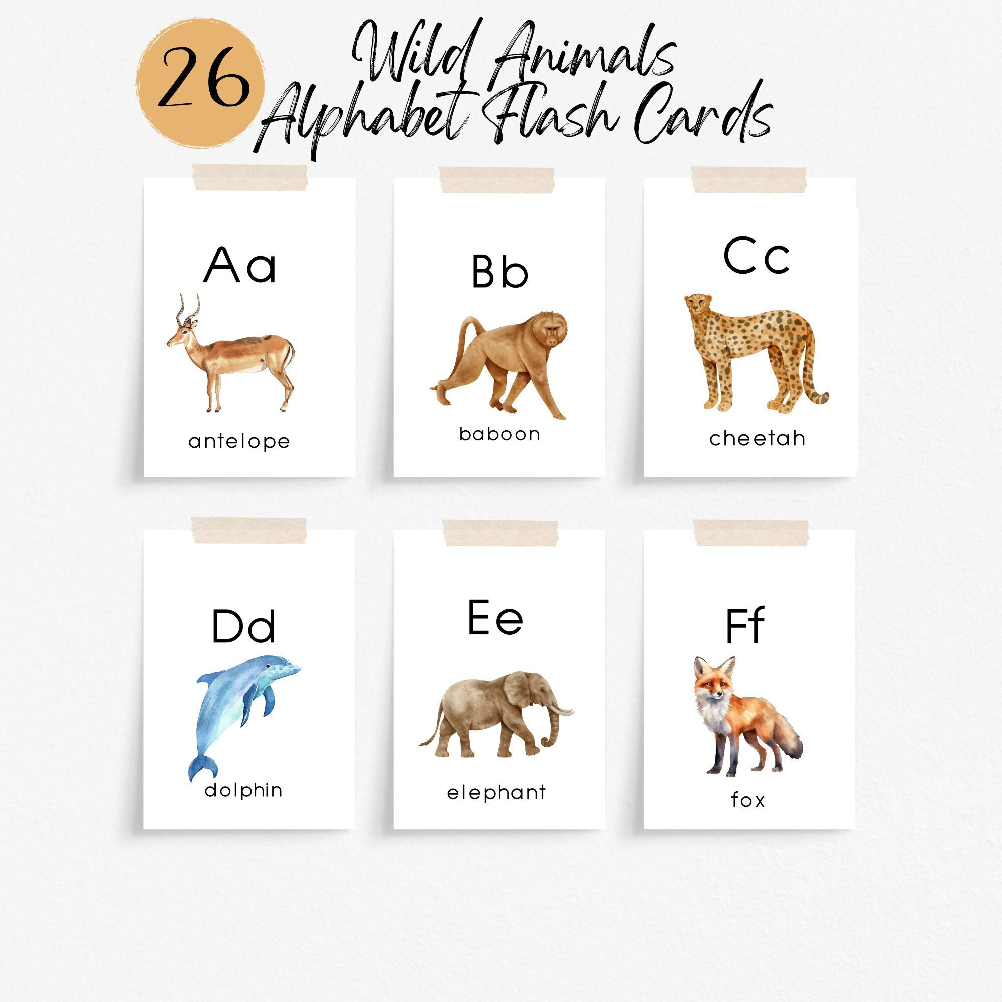 Wild Animal Alphabet Flash Cards, Montessori Materials, A-Z Cards ...