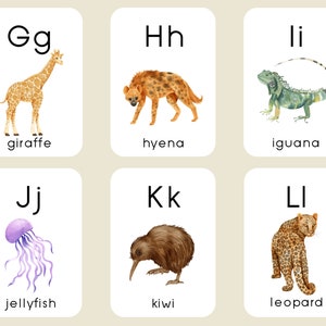 Wild Animal Alphabet Flash Cards, Montessori Materials, A-Z Cards ...