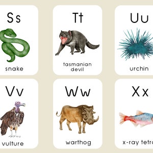 Wild Animal Alphabet Flash Cards, Montessori Materials, A-Z Cards ...