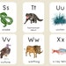 Wild Animal Alphabet Flash Cards, Montessori Materials, A-Z Cards ...