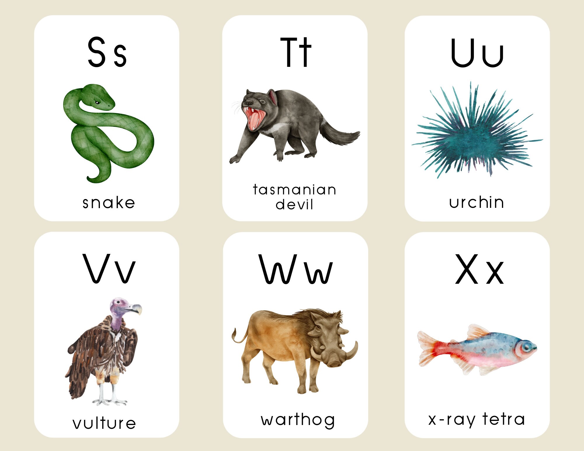 Wild Animal Alphabet Flash Cards, Montessori Materials, A-Z Cards ...