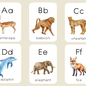 Wild Animal Alphabet Flash Cards, Montessori Materials, A-Z Cards ...