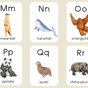 Wild Animal Alphabet Flash Cards, Montessori Materials, A-Z Cards ...
