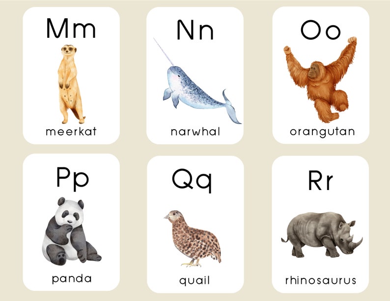 Wild Animal Alphabet Flash Cards, Montessori Materials, A-Z Cards ...