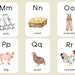 On the Farm Alphabet Flash Cards, Montessori Materials, A-Z Cards ...