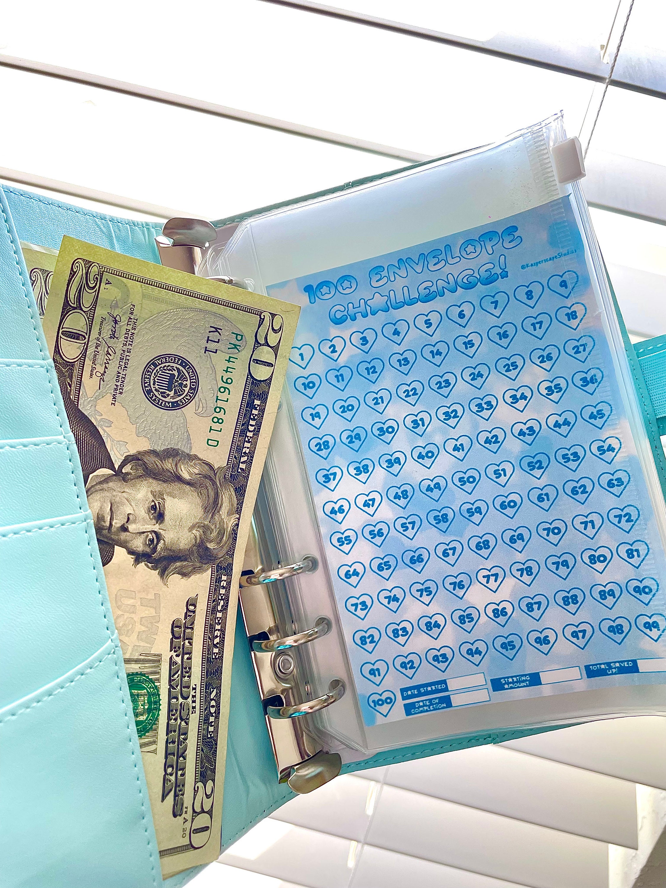 100 Envelope Challenge Tracking Sheets - Etsy